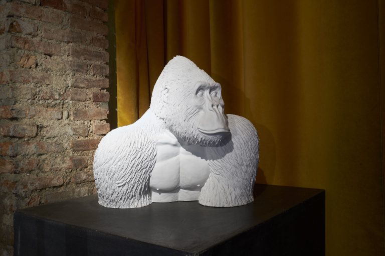 About | Mogg | Unlimited Design