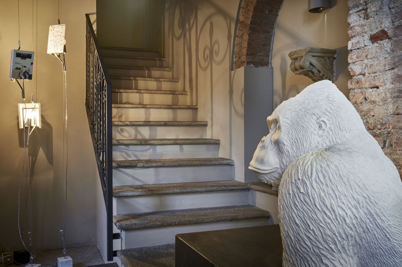 About | Mogg | Unlimited Design