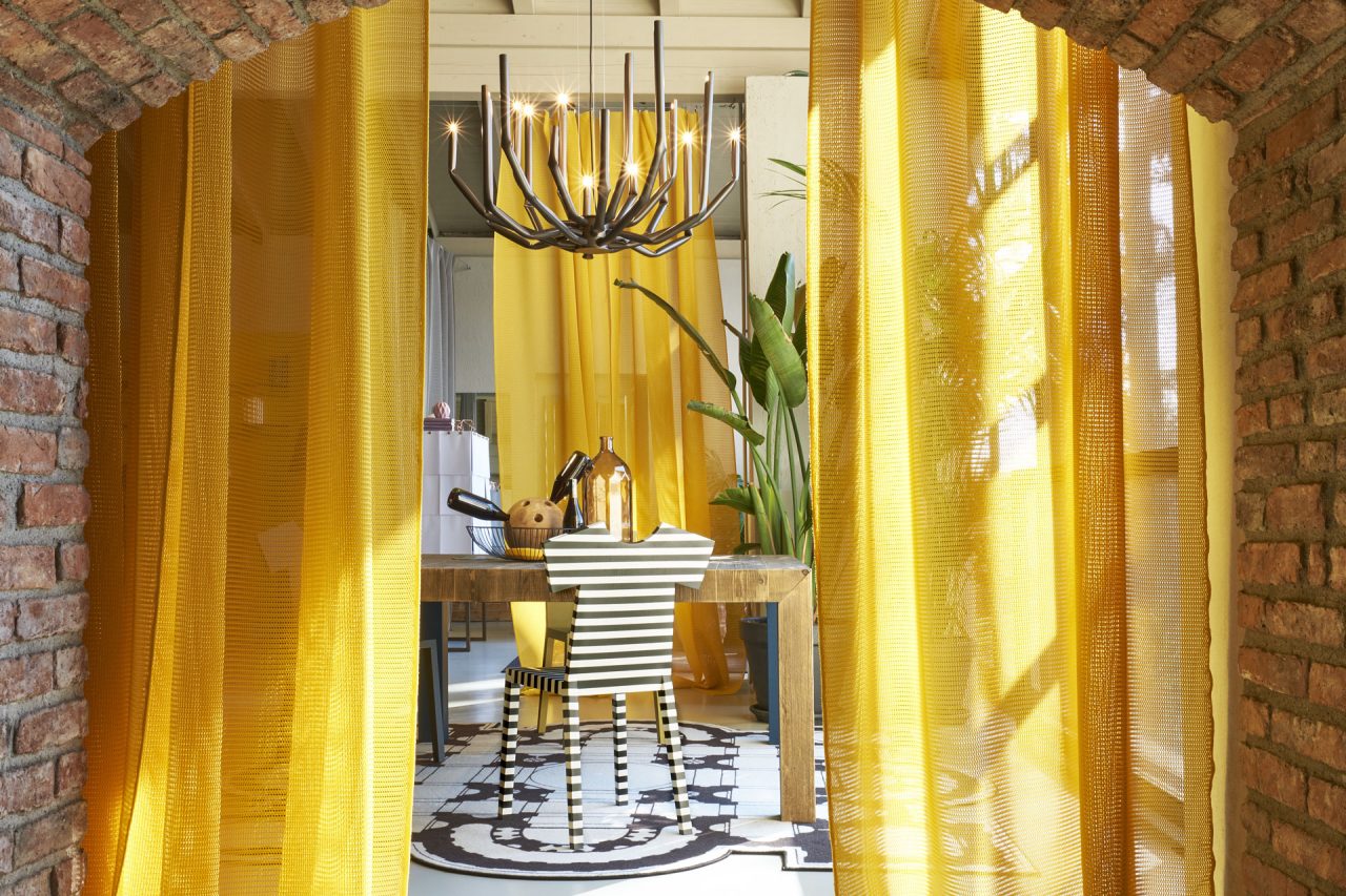 About | Mogg | Unlimited Design