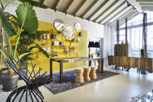 About | Mogg | Unlimited Design